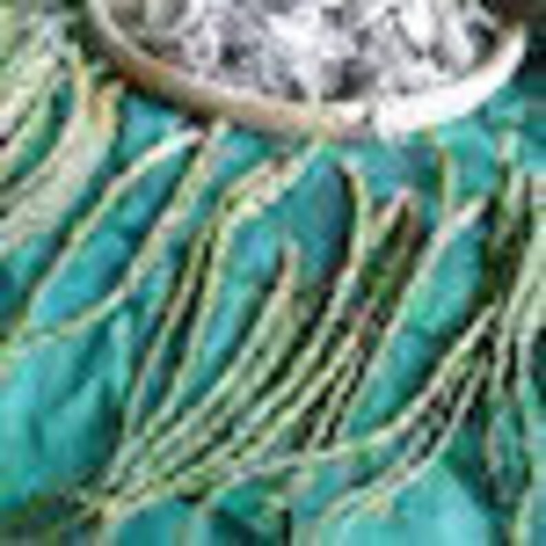 3 Plugs. Canadian Strain Sweet Grass.longest Growing Strain of ...