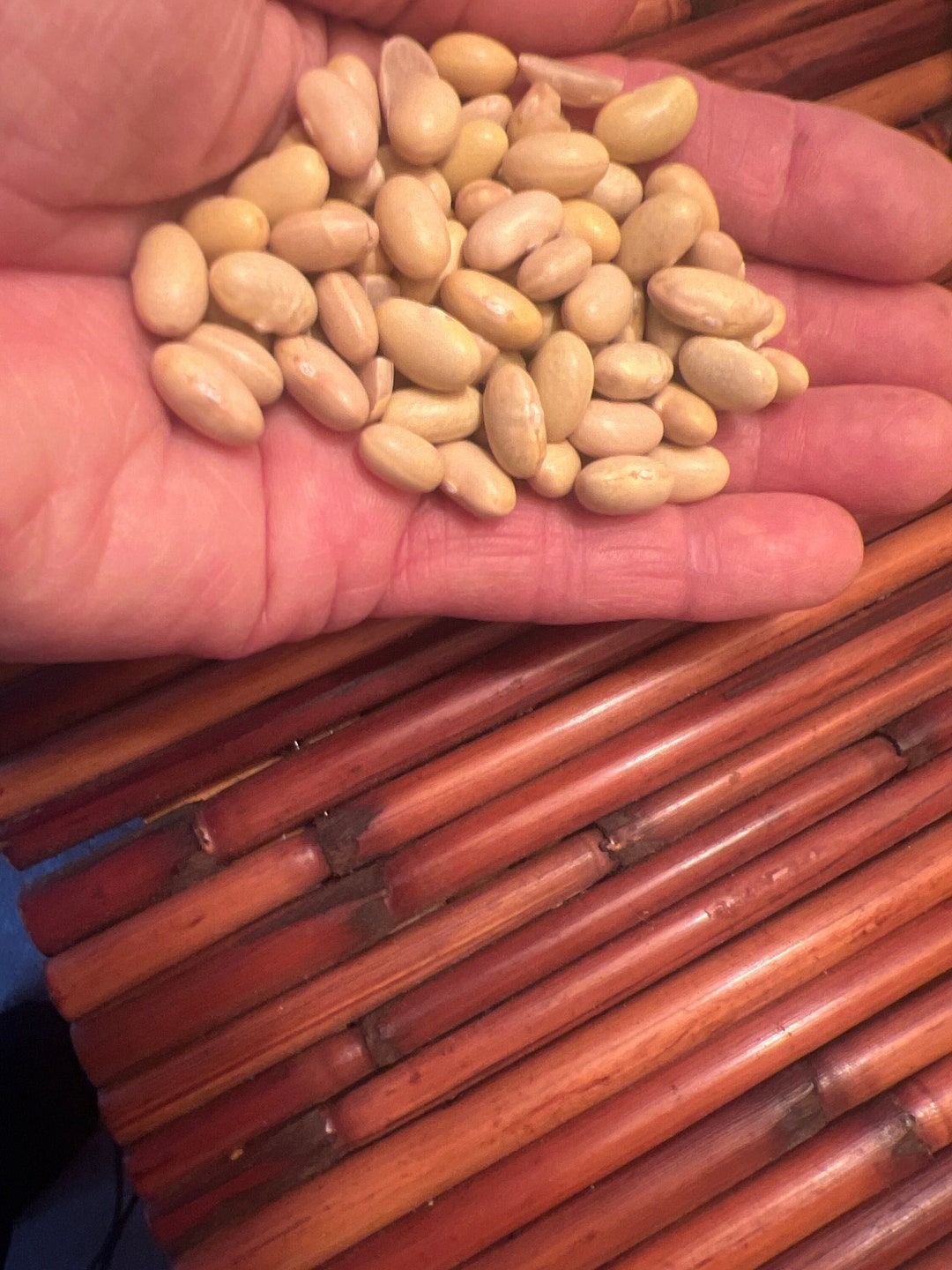 King of Andean Beans. From the Andes,peru - Etsy