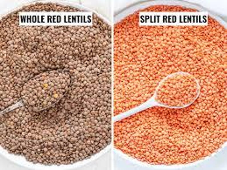 25 Red Lentil Seed , Whole Monsoor Lentil. Easy to Grow..growing ...