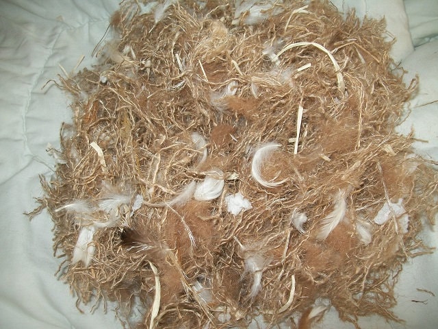 Exotic Finch Nesting Material Birds,organic, per Order Custom Made by ...