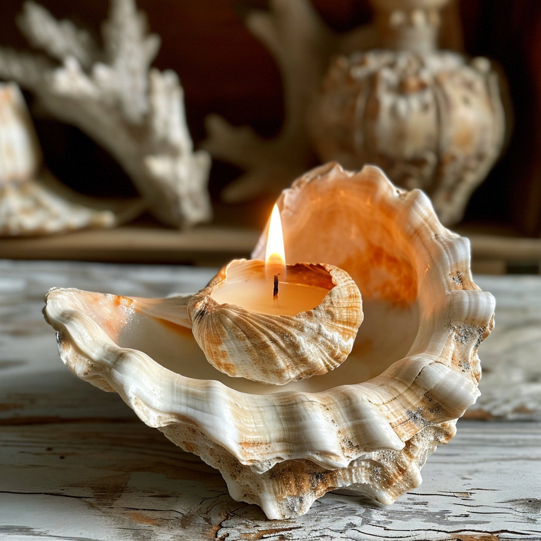 Create Your Own Seashell Candle Holders for Home Beauty - Etsy