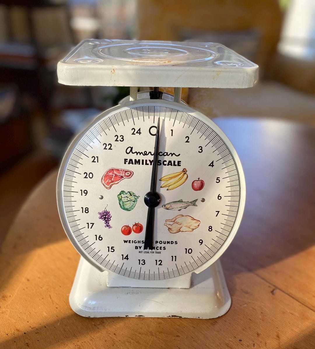 Vintage American Family Scale - Etsy