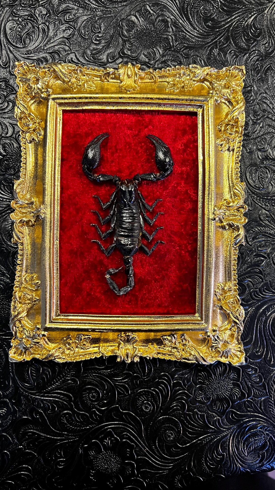 Giant Scorpion - Etsy