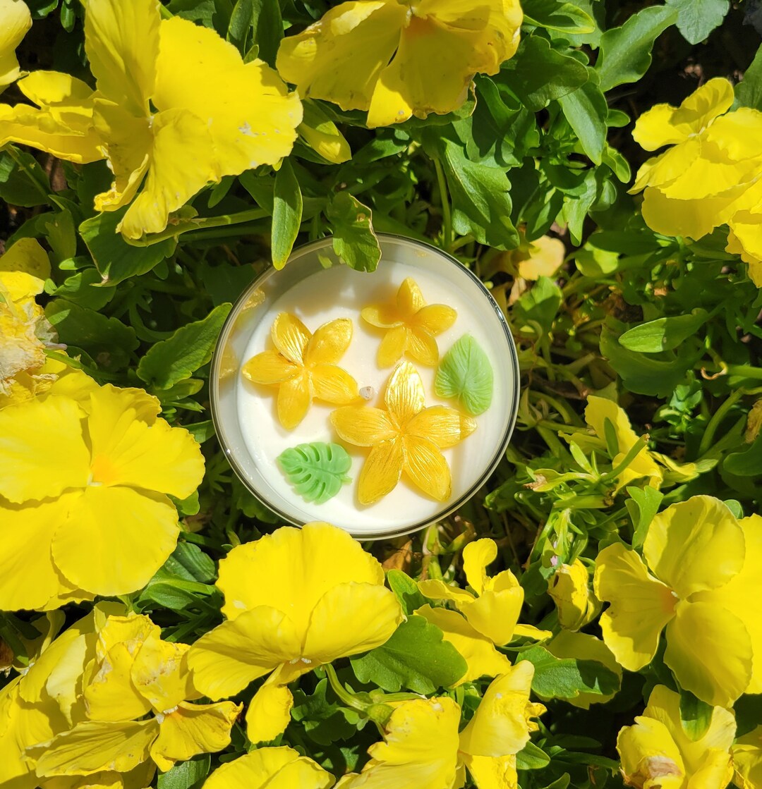 Soy Flower Candle: Seaside Plumeria Scent - 8 Oz - Etsy