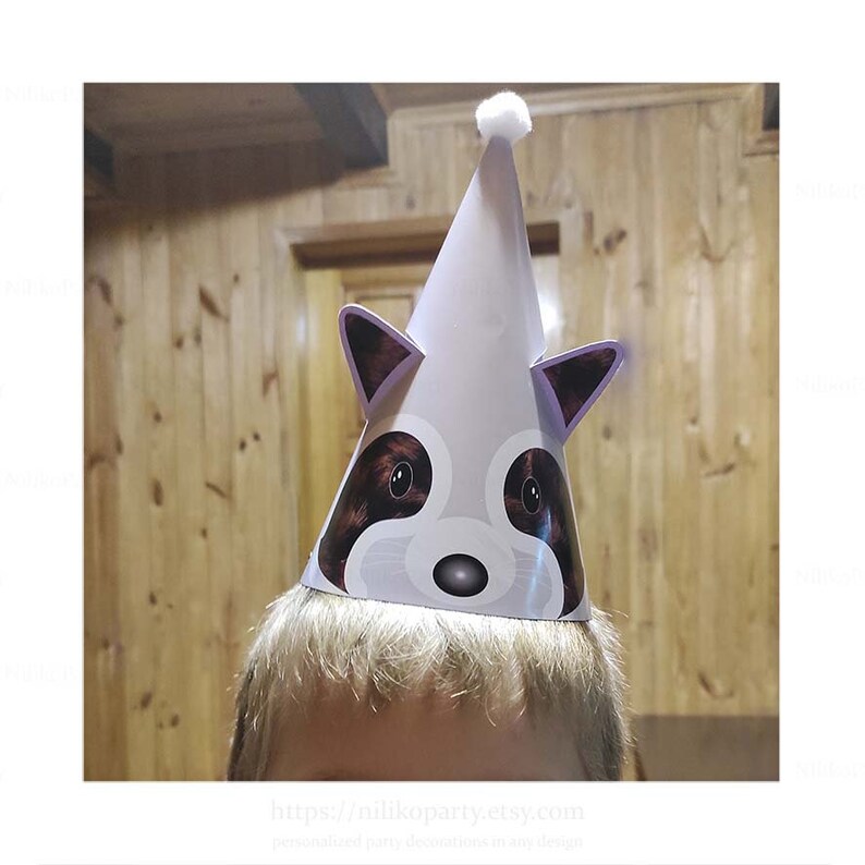 Custom Birthday Hats Woodland Animals, Personalized Hat Boy Forest ...