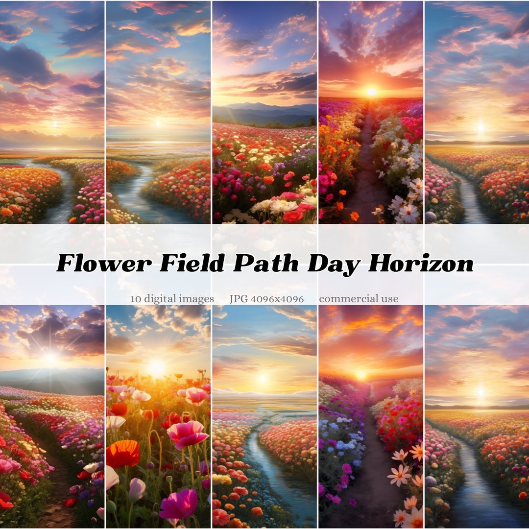 Flower Field Path Day Horizon Digital Paper Overlay Background Ocean ...