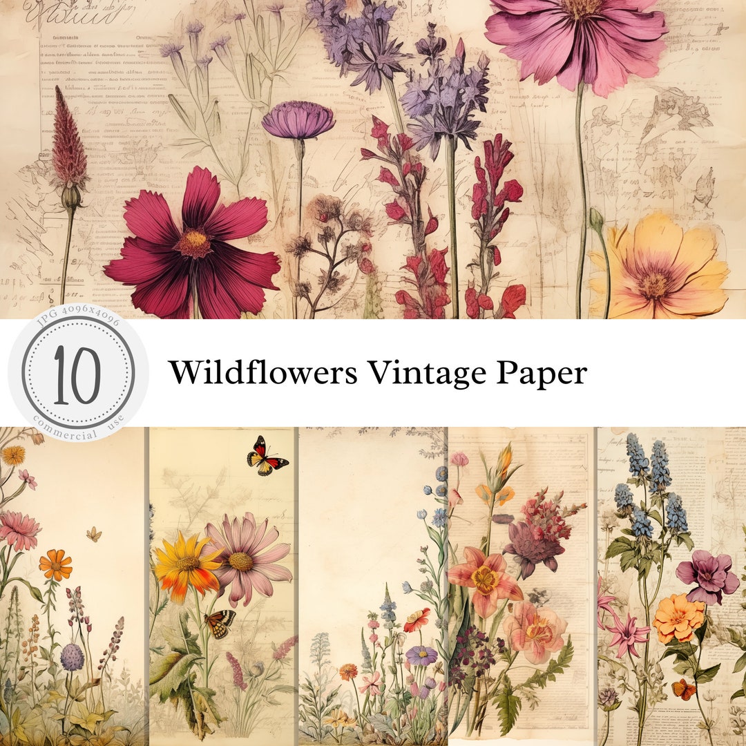 Wildflowers Old Vintage Paper Textures Digital Paper Overlay Background ...