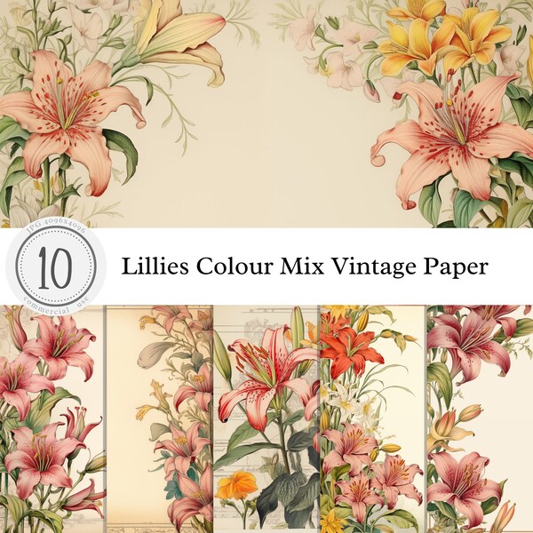 Rodents Patterns Bundle Mouse Mice Rats Seamless Digital Print Clipart ...