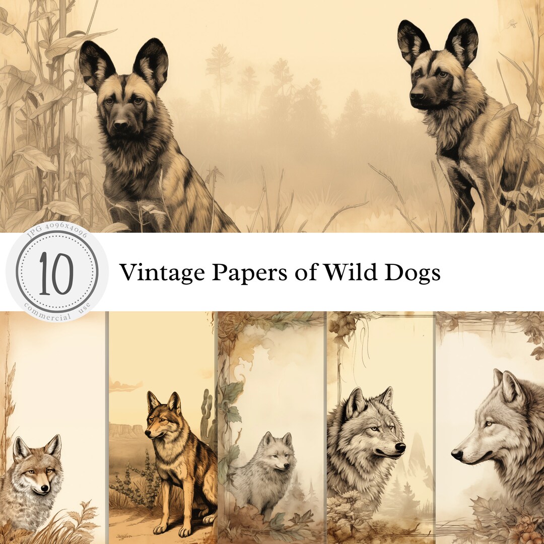 Wild Dogs Vintage Papers Hyena Wolf Wolves Fox Desert Coyote Old ...