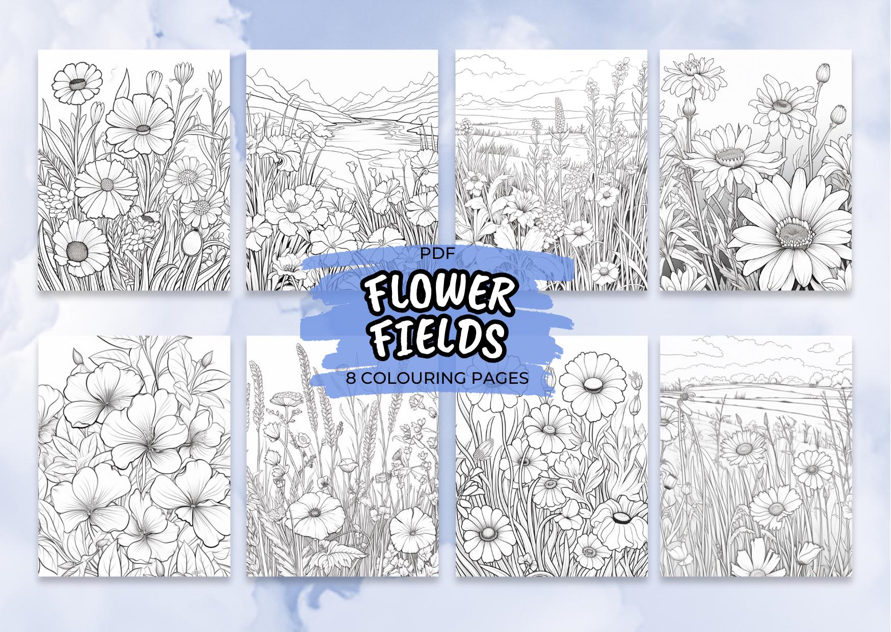 Flower Fields Coloring Book Floral Summer Day Plants Nature Digital ...