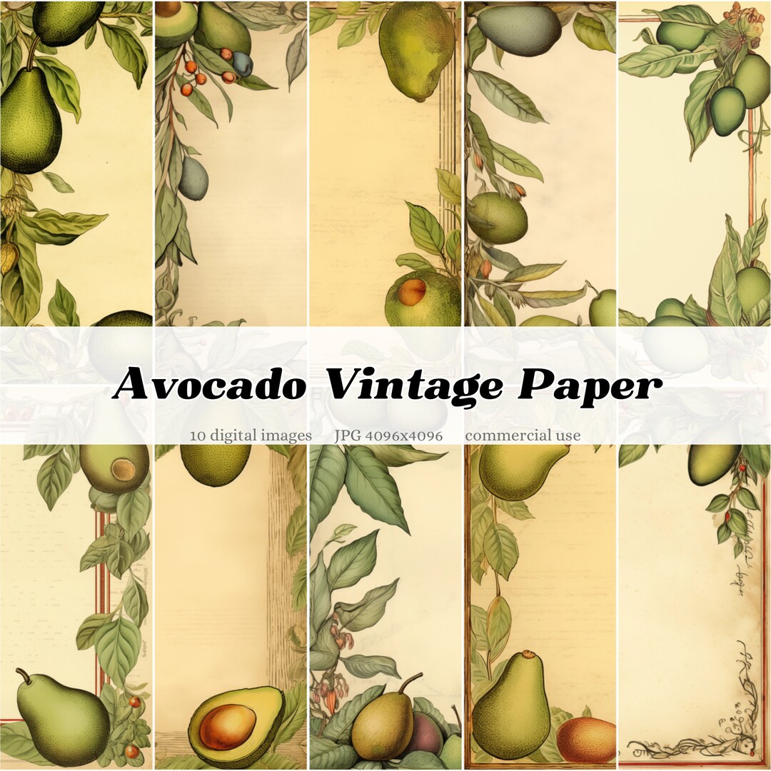 Avocados Vintage Paper Mix Fruit Overlay Clipart Simple Gentle Leaves ...