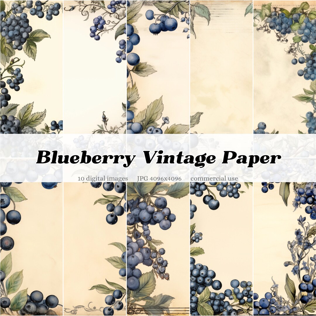 Blueberry Vintage Paper Mix Fruit Overlay Clipart Simple Gentle Leaves ...