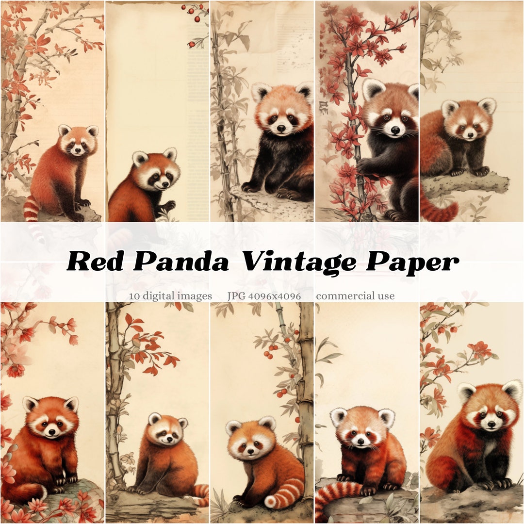 Red Pandas Old Vintage Papers Mountains Bamboo Tree Digital Printable ...