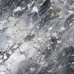 Silver Glitter Marble Stone Bundle Shimmer Digital Paper Fine Art ...