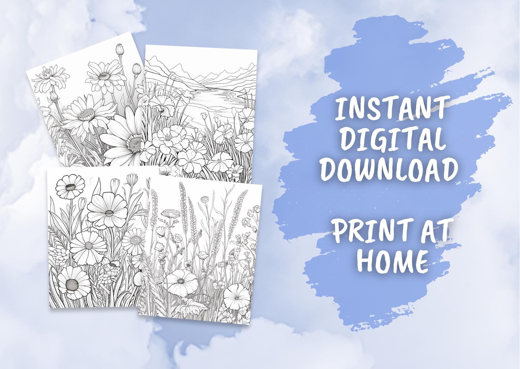 Flower Fields Coloring Book Floral Summer Day Plants Nature Digital ...