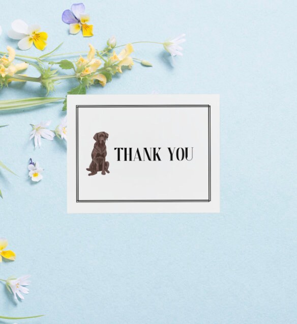 Brown Chocolate Lab Thank You Card - Instant Download - Etsy