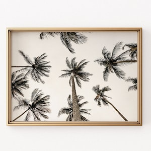 Neutral Palm Tree Print: Coastal Black and White Photography (digital ...