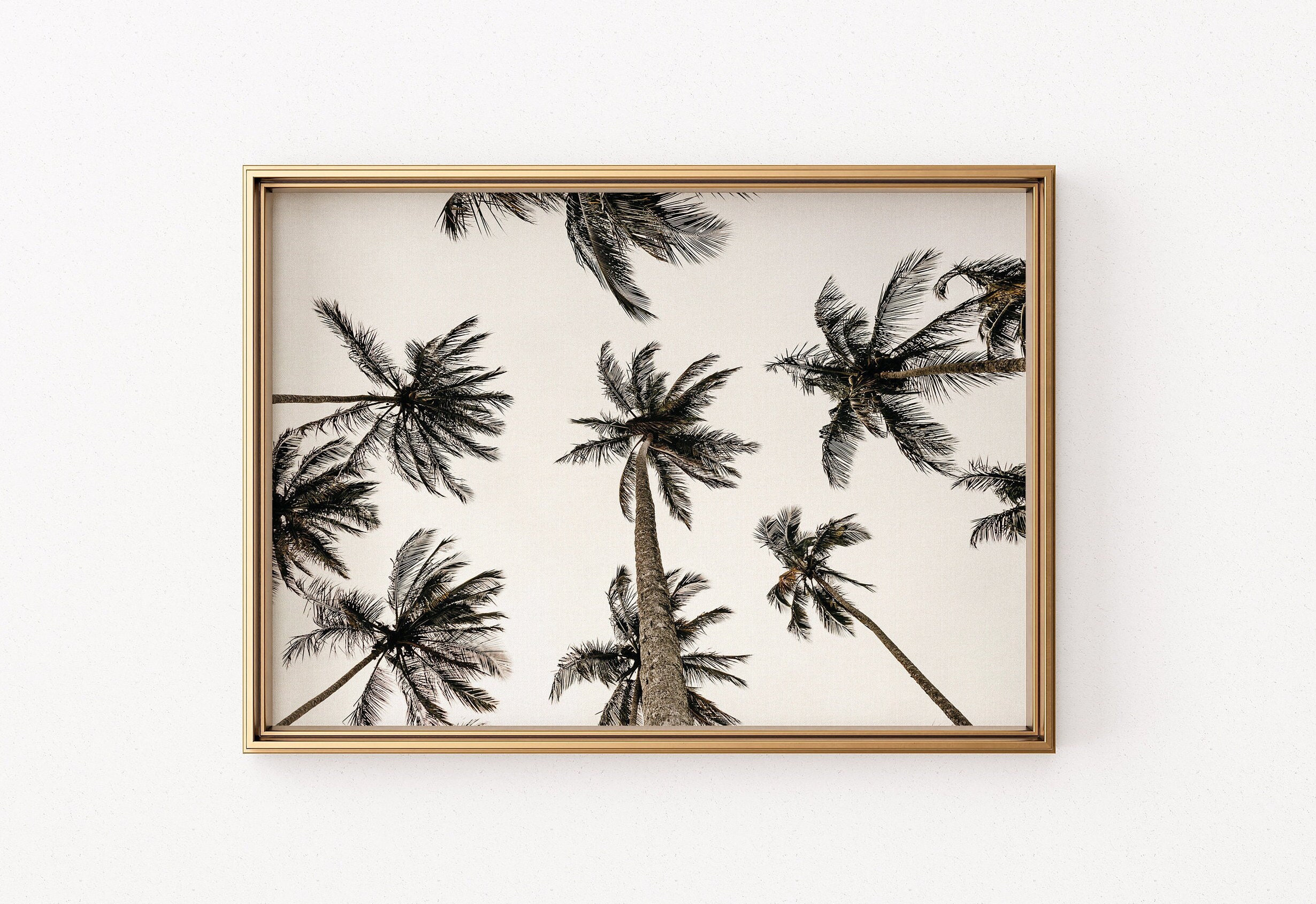 Neutral Palm Tree Print: Coastal Black and White Photography (digital ...