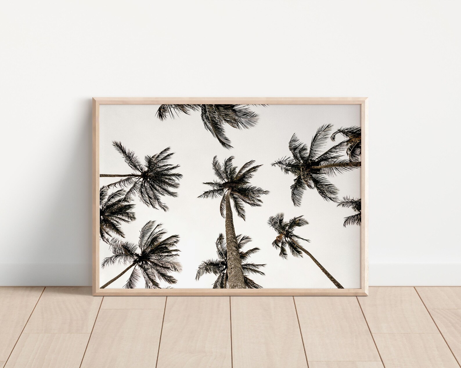Neutral Palm Tree Print: Coastal Black and White Photography (digital ...