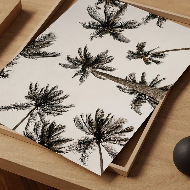 Neutral Palm Tree Print: Coastal Black and White Photography (digital ...