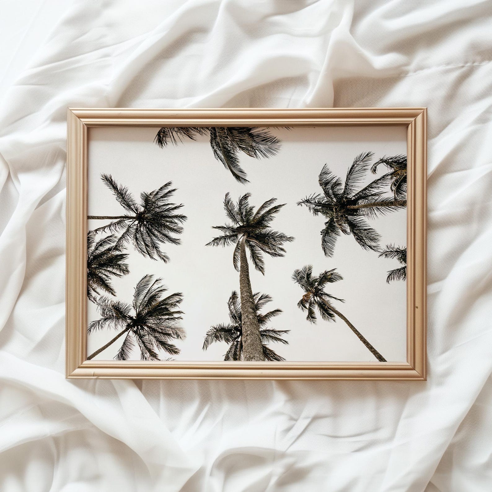 Neutral Palm Tree Print: Coastal Black and White Photography (digital ...