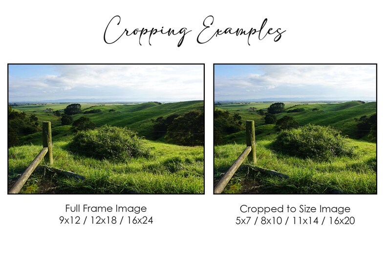 New Zealand Green Hills Photography Print | Nature Landscape Wall Art | New Zealand Photography ...