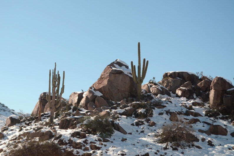 Desert Snow | Desert Photography | Desert Landscape | Southwest Photo ...