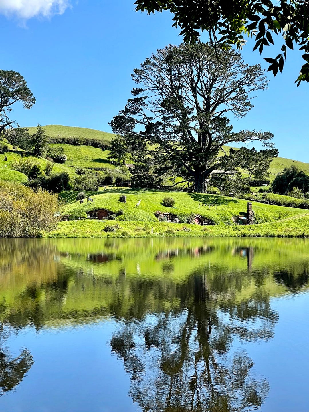 Hobbiton Party Tree LOTR Wall Art Shire Photography New Zealand Travel ...