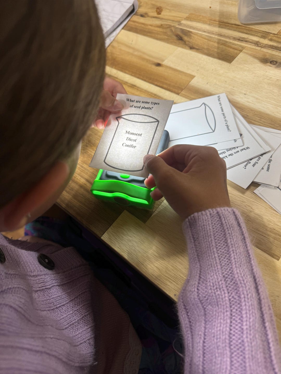 CC Cycle 3 Science Flashcards Light Revealing Flashcards - Etsy
