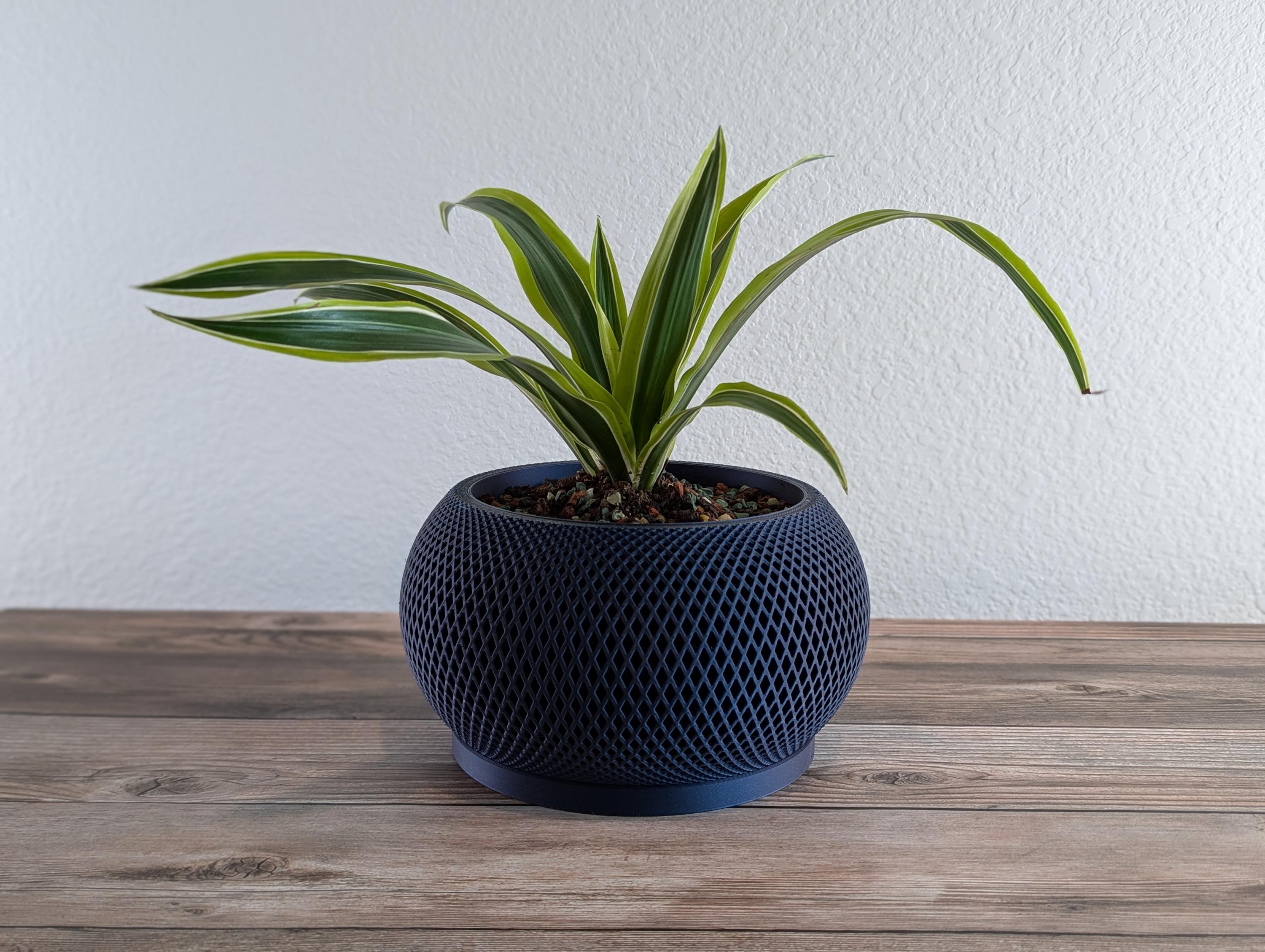 3D Printed Planter Pot With Drainage: Modern Cross Hatch Design - Etsy