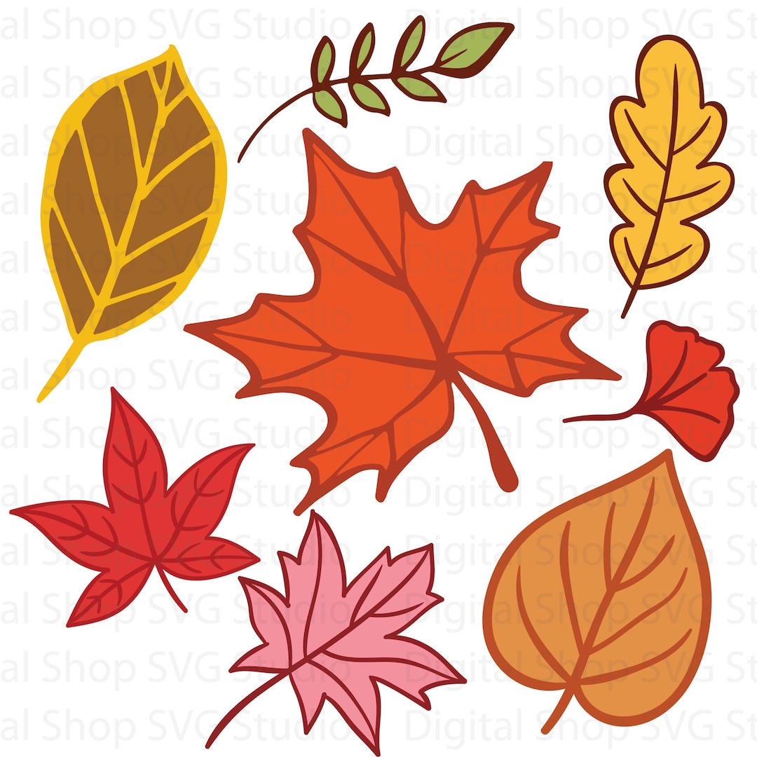 Fall Leaves Bundle Svg, Fall Svg, Cut Files for Cricut Silhouette ...