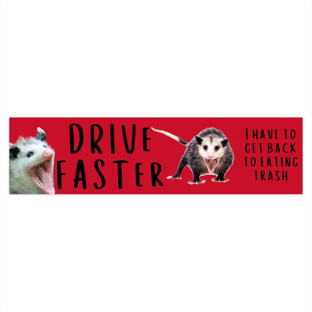 Funny Possum Bumper Sticker Cute Opossum Bumper Stickers Drive Faster I ...