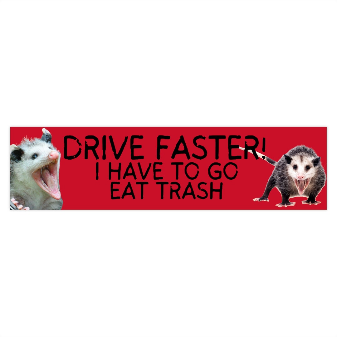 Funny Hissing Possum Bumper Sticker I Have to Go Eat Trash Opossum ...