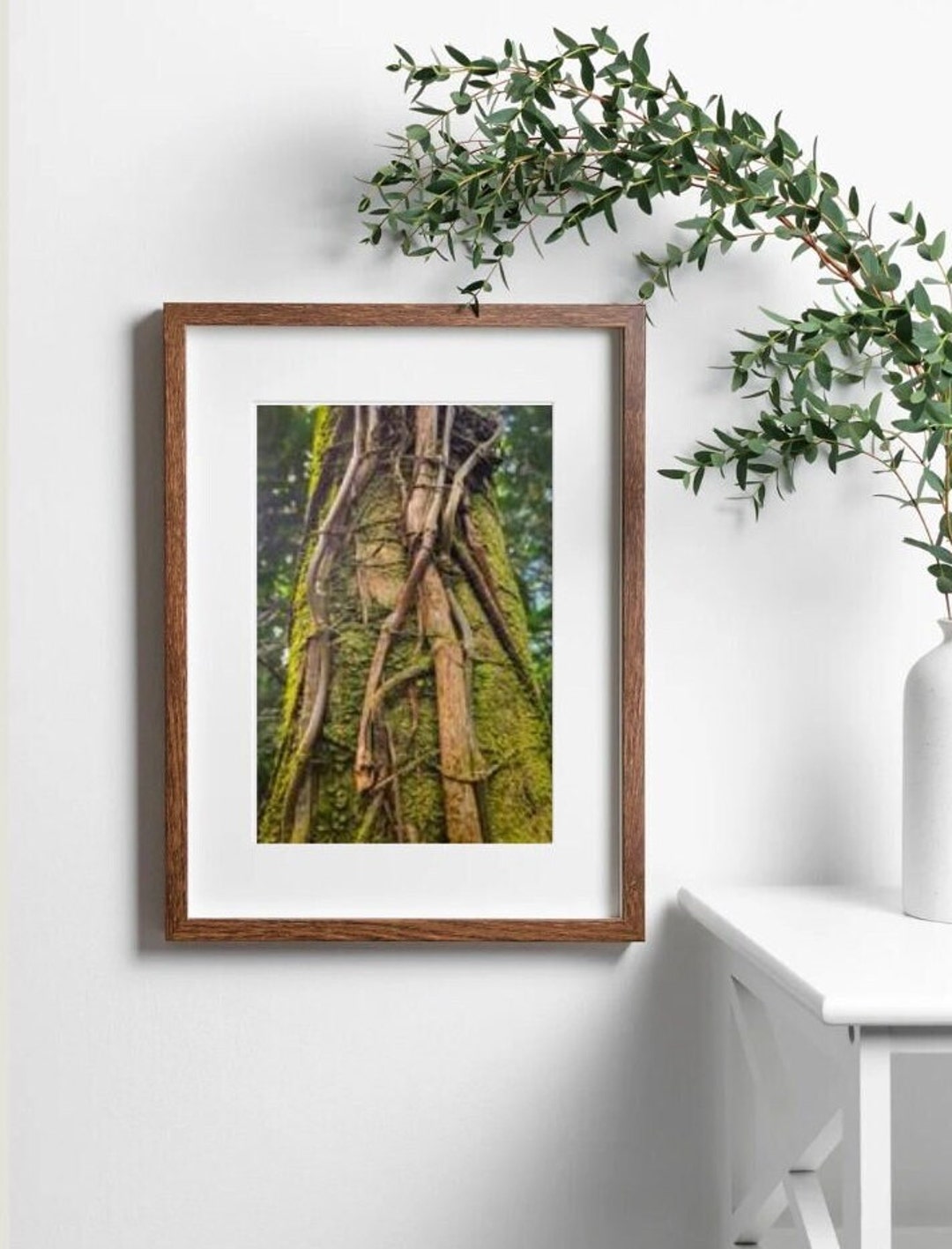 Tree With Vines Printable Wall Art, Digital Download, Tree Photography ...