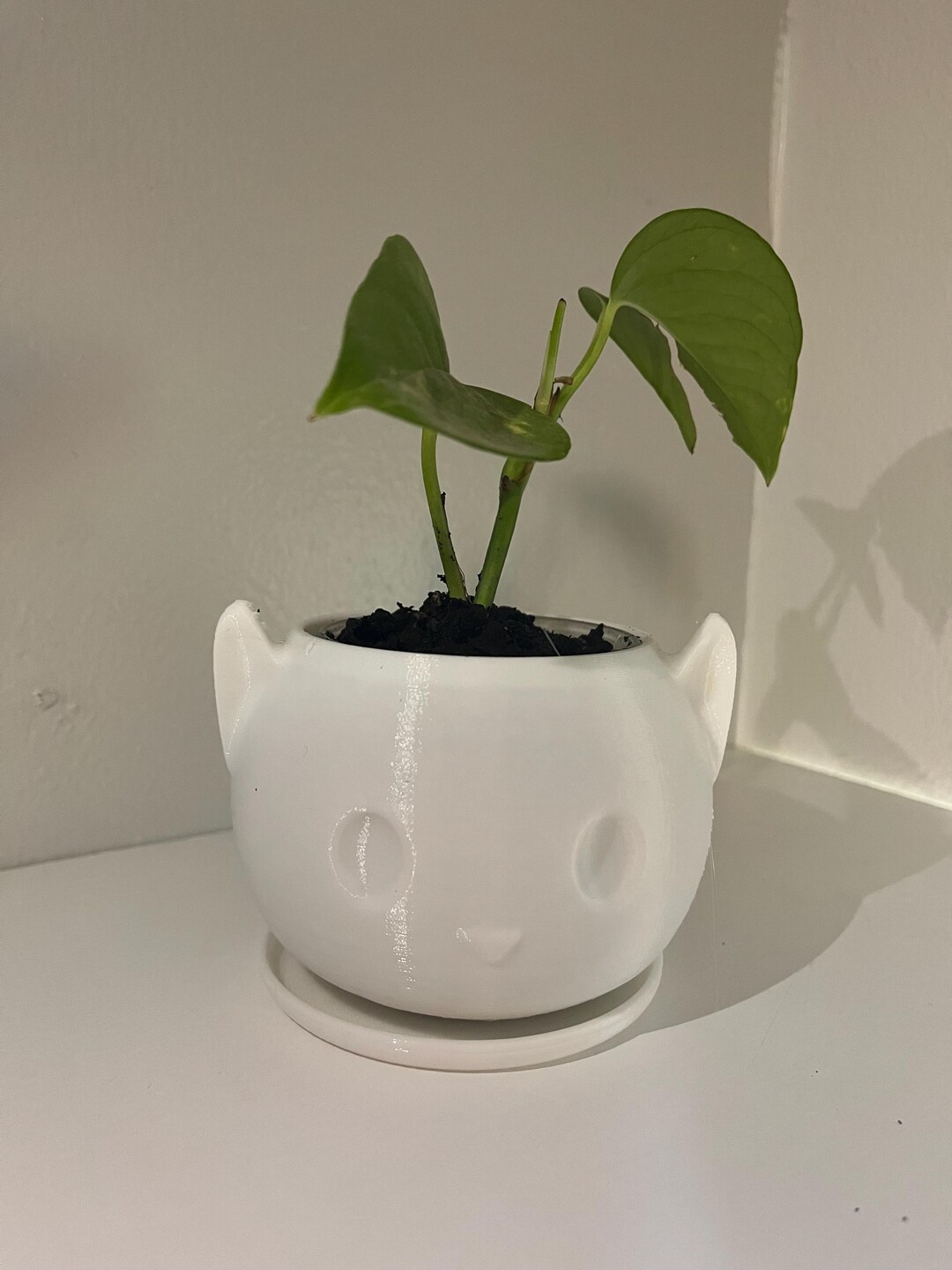 Cute Cat Planter - Etsy