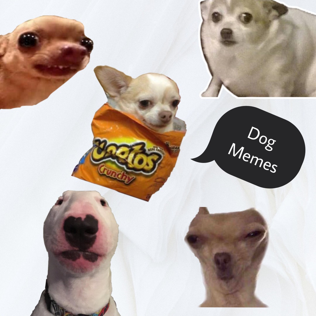 Dog Meme Sticker Pack - Etsy