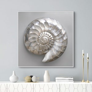Elegant Nautilus Shell Square Painting Print- Sea Shell Wall Art for ...