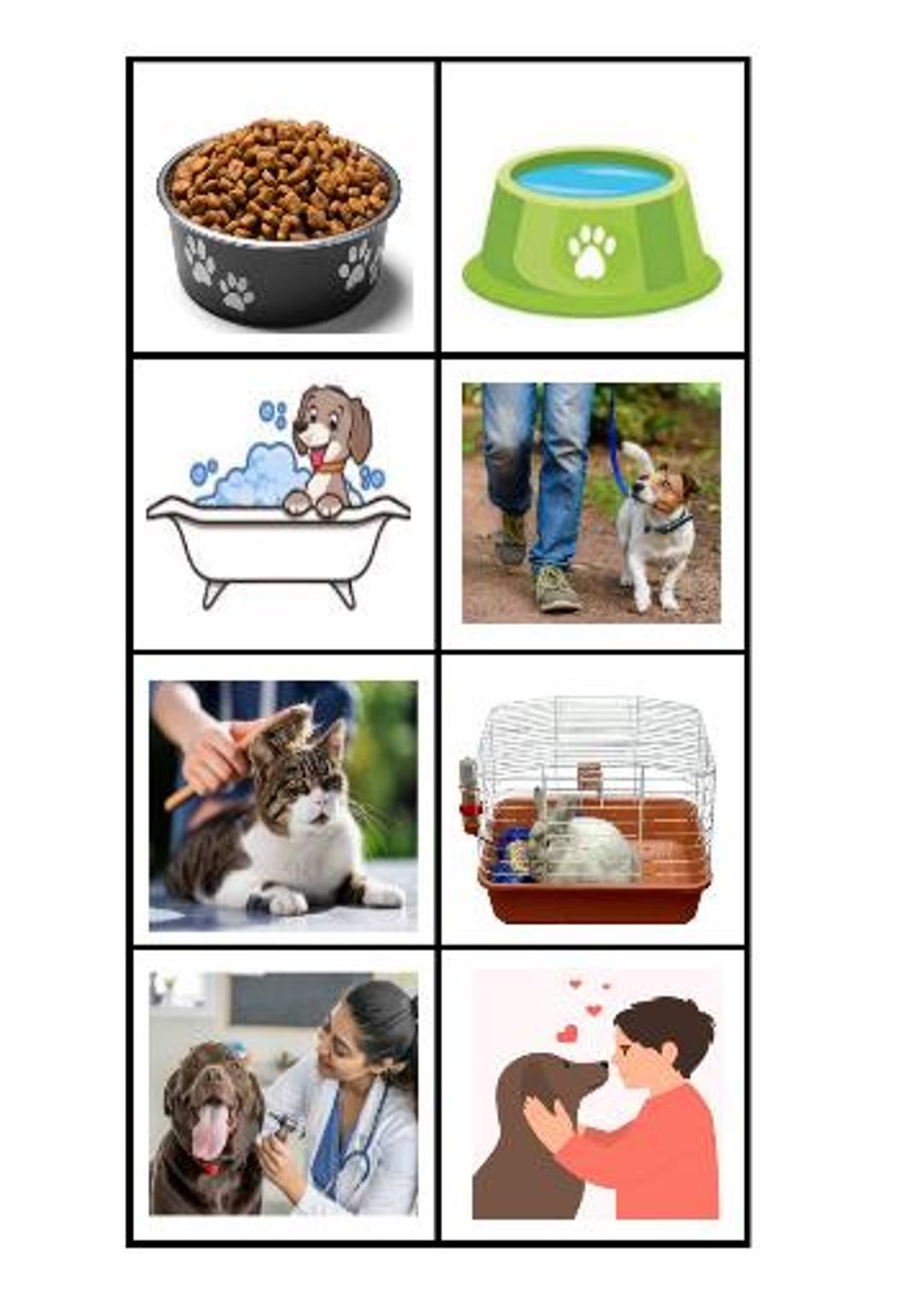 Caring for Pets Vocabulary Book - Etsy