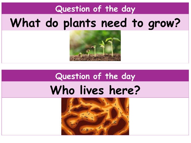 Question of the Day Cards - Gardening Study (creative Curriculum ...