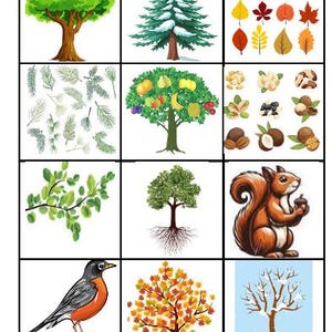 Trees Vocabulary Book - Etsy