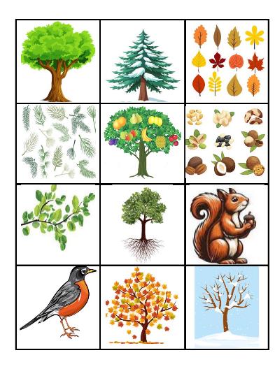 Trees Vocabulary Book - Etsy