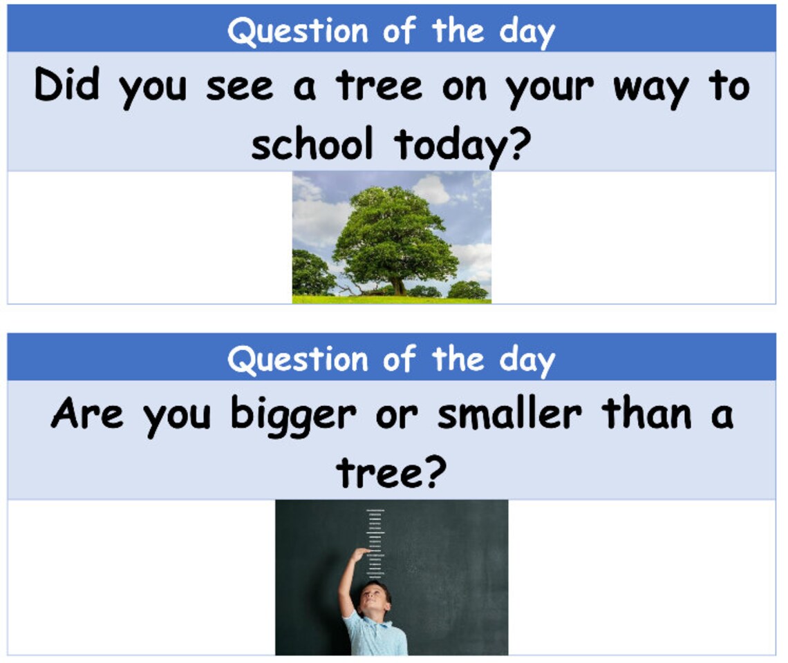 Question of the Day Cards - Tree Study (creative Curriculum Regular ...
