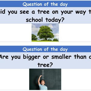 Question of the Day Cards - Tree Study (creative Curriculum Regular ...