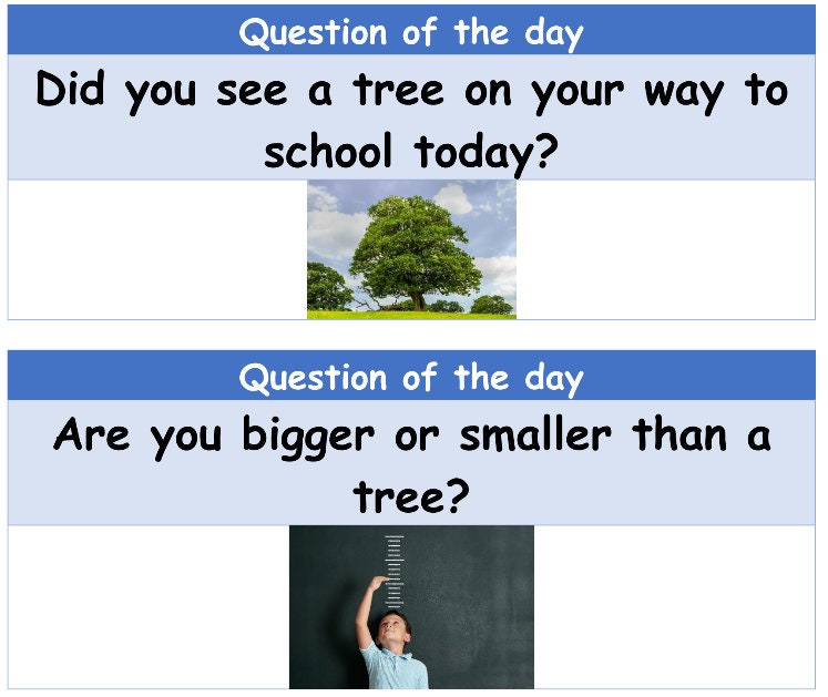 Question of the Day Cards - Tree Study (creative Curriculum Regular ...