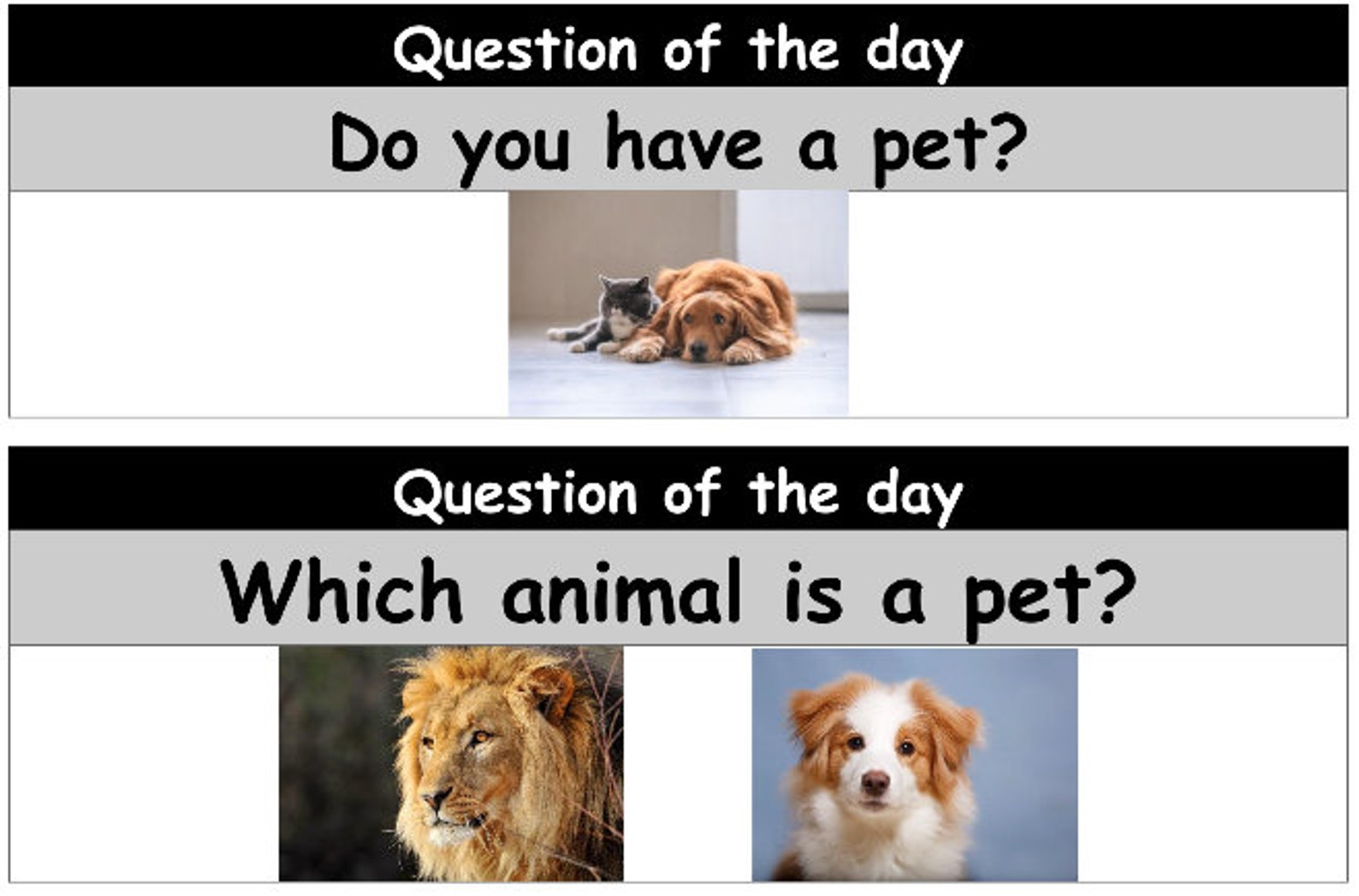 Question of the Day Cards - Pets Study (creative Curriculum Regular ...