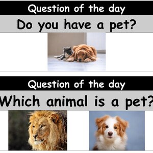 Question of the Day Cards - Pets Study (creative Curriculum Regular ...