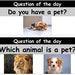 Question of the Day Cards - Pets Study (creative Curriculum Regular ...