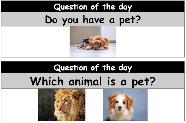 Question of the Day Cards - Pets Study (creative Curriculum Regular ...