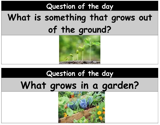 Question of the Day Cards - Gardening Study (creative Curriculum ...