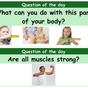 Question of the Day Cards - Exercise Study (creative Curriculum Regular ...